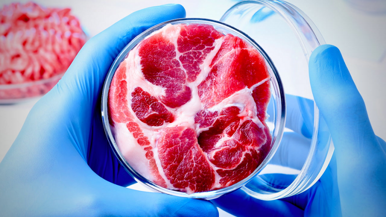 Lab-grown Meat Coming To UK As Soon As 2022 - Animal Agriculture and ...