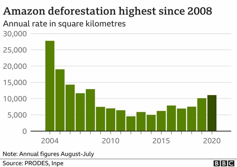 Amazon deforestation worst its been in 12 years - Animal Agriculture ...
