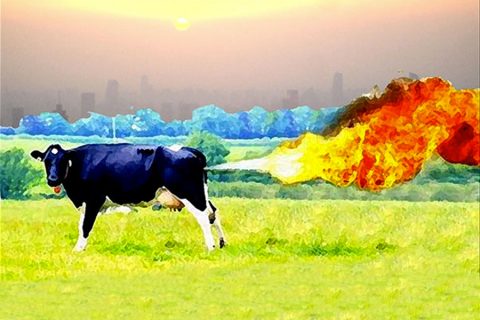 UN experts demand “urgent steps” be taken to reduce methane emissions ...