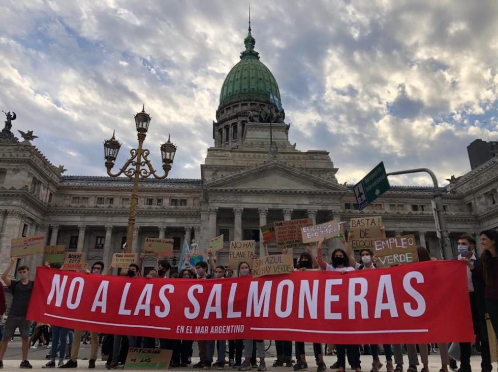 Argentina bans salmon farming in win for campaigners - Animal ...