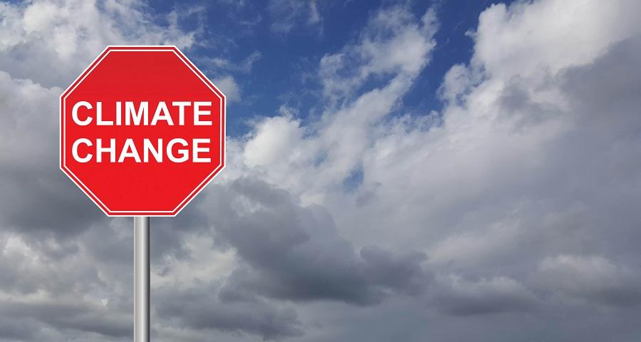 We are reaching a point of no return, say scientists - Animal ...