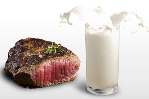 DNA molecules found in meat and dairy linked to colon cancer - Animal ...