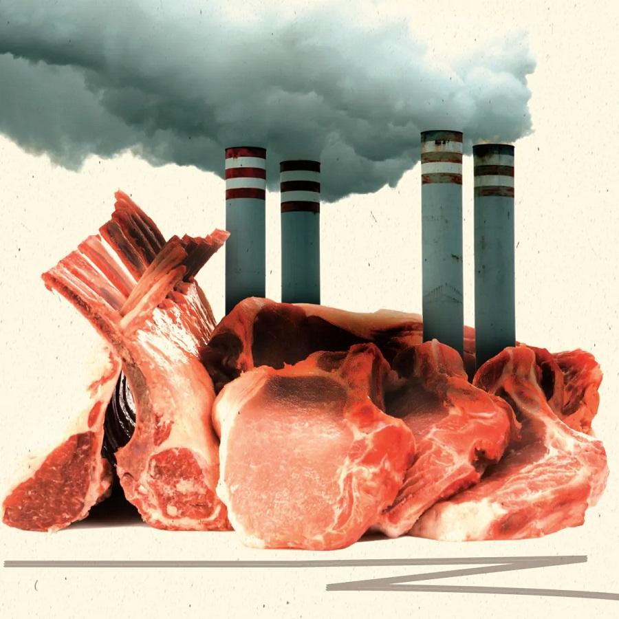 How the meat industry works win over consumers - Animal Agriculture and ...