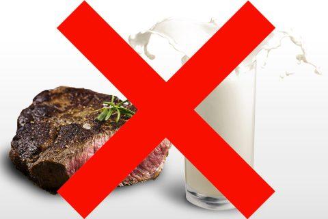 Why we need people to eat less meat and dairy - Animal Agriculture and ...
