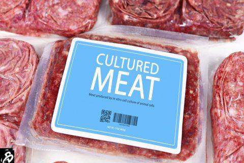 Cultivated meat is still a billion-dollar global opportunity - Animal ...