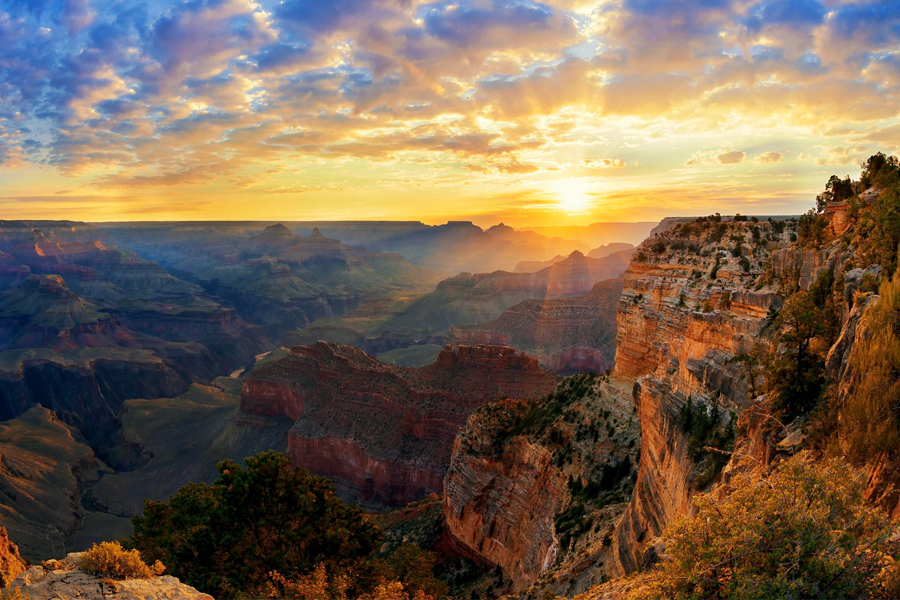Menus at US National Parks to be 50% plant-based by end of 2026 ...